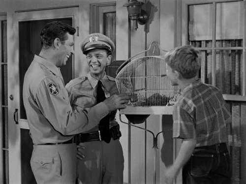 🐦 5 Secrets You Didn’t Know Behind the Episode “Opie the Birdman ...