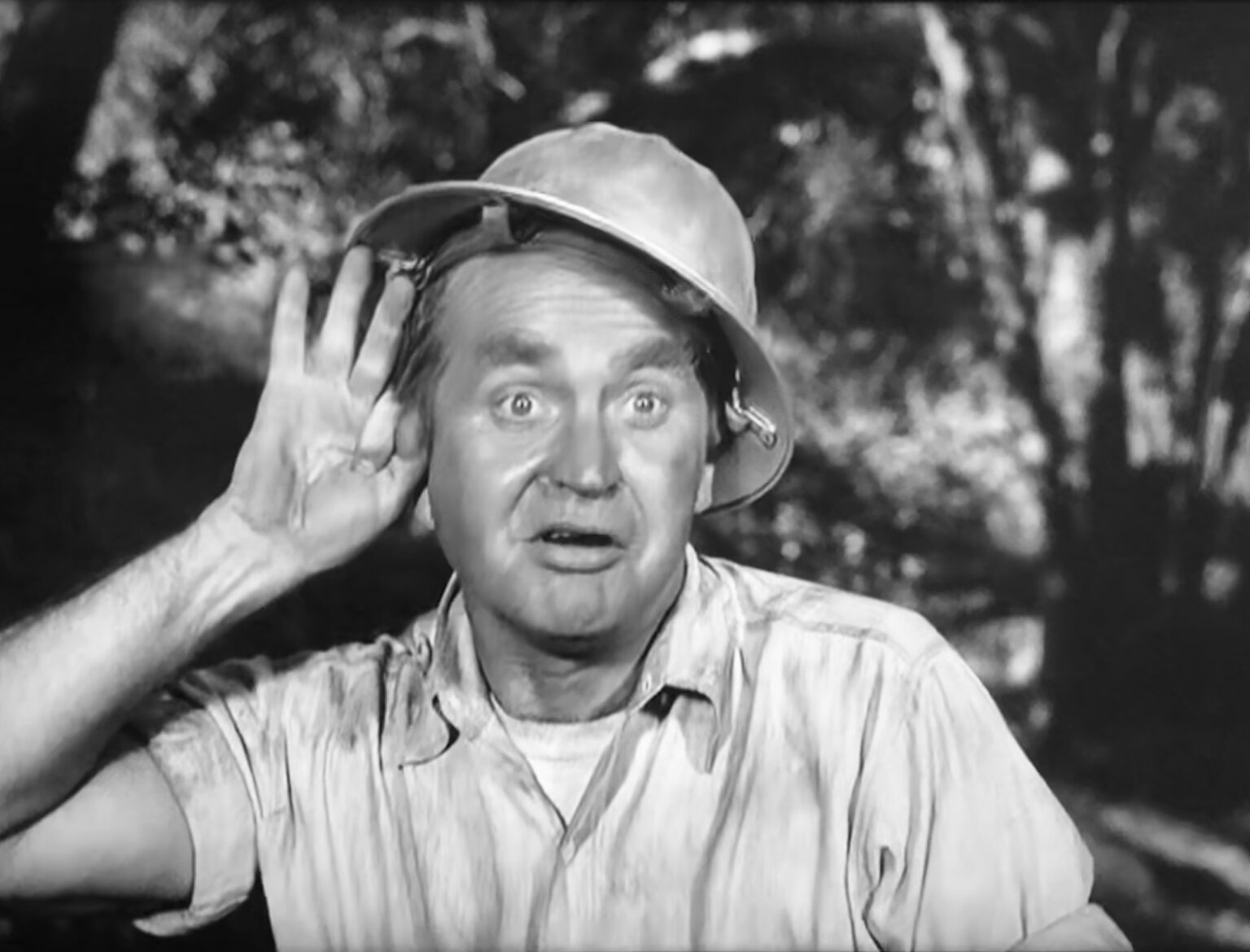 What Happened to Karl Swenson? The Actor Who Played Mr. McBeevee on ...