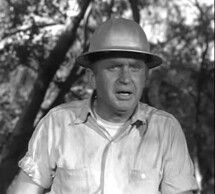 What Happened to Karl Swenson? The Actor Who Played Mr. McBeevee on ...